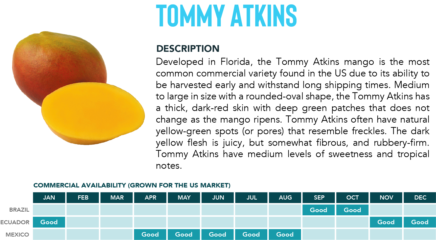 Mango — Continental Fresh