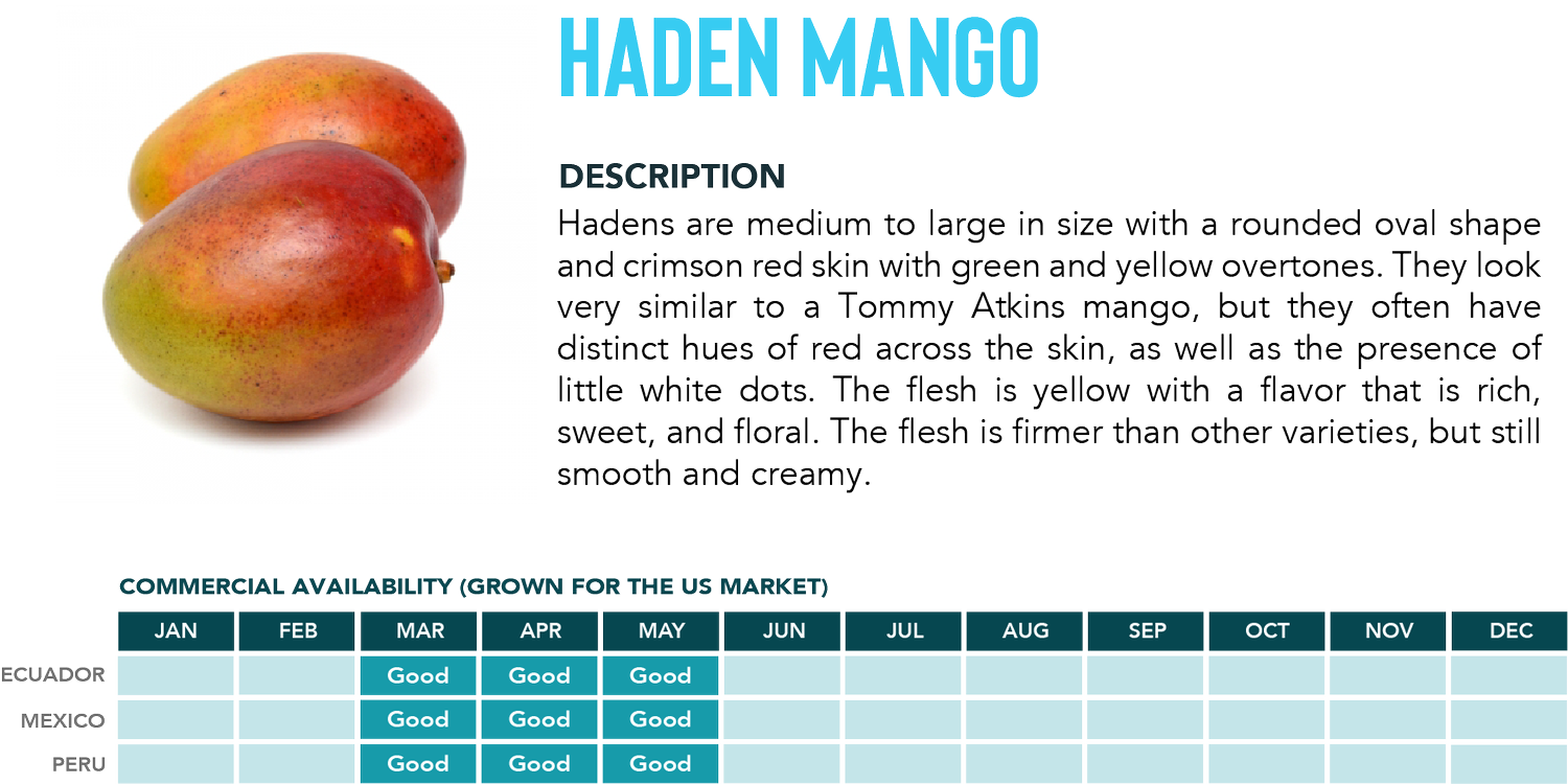 Imported Mangos from Latin America — Continental Fresh