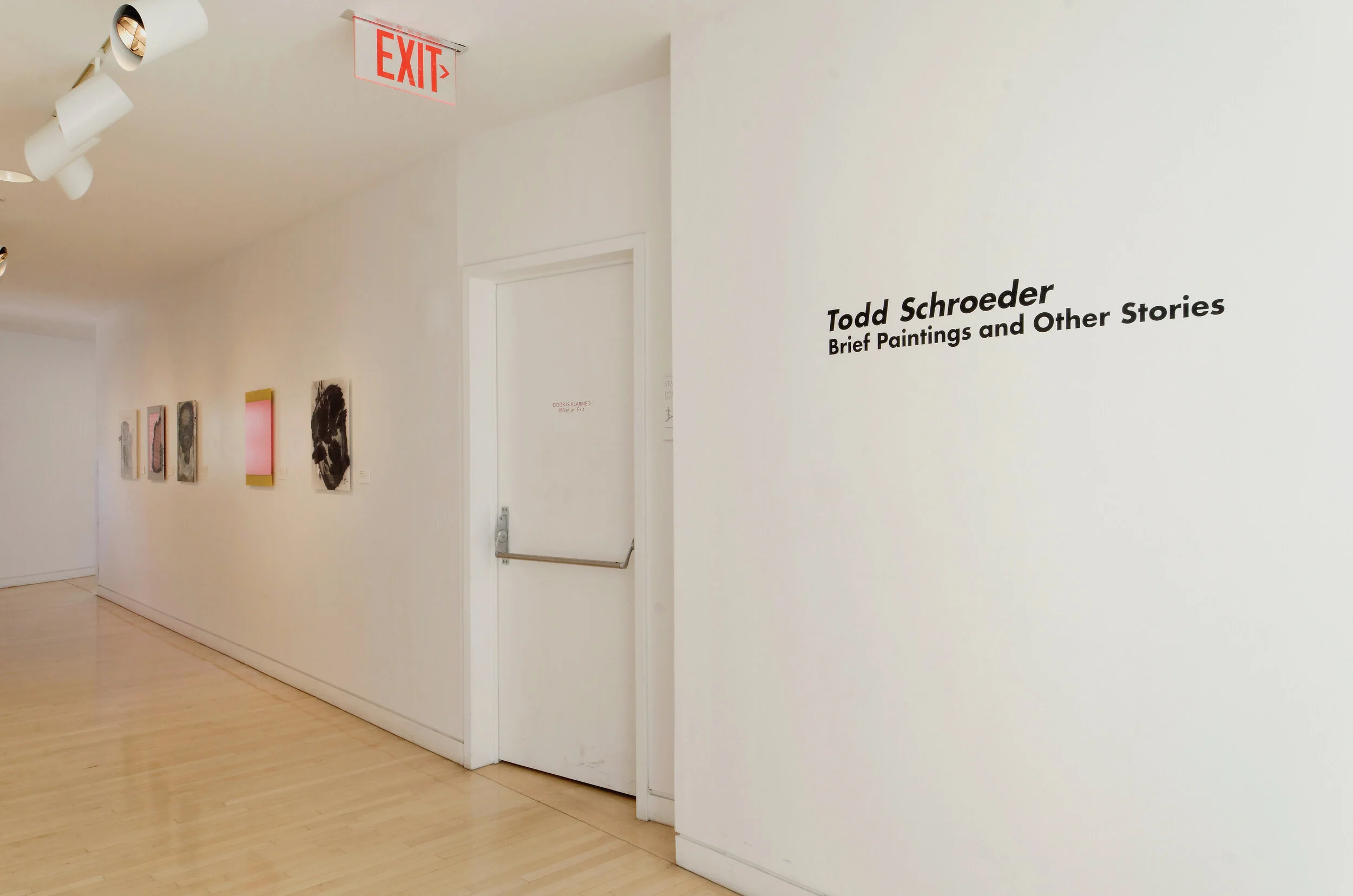 "Brief Paintings" at Jepson Center/Telfair Museum 2014 — Todd Schroeder