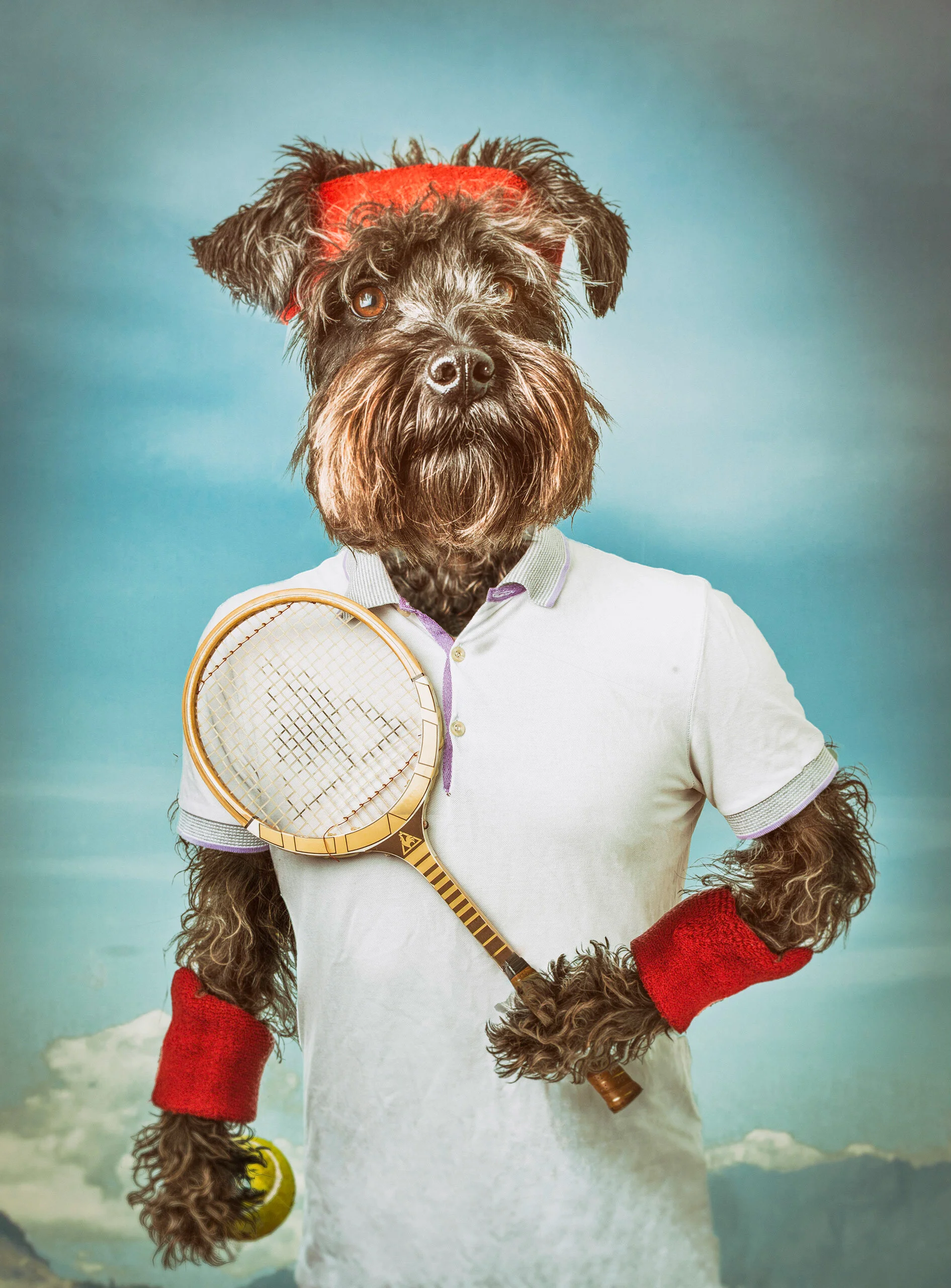 James Paterson Photography