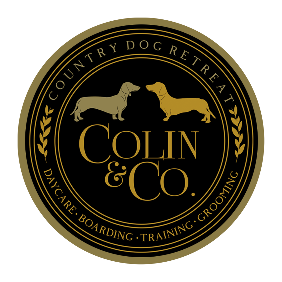 Colin & Co — Country Dog Retreat