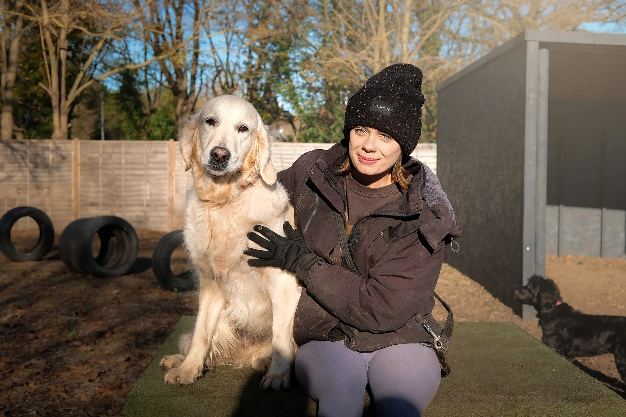 Colin & Co | Country Dog Retreat