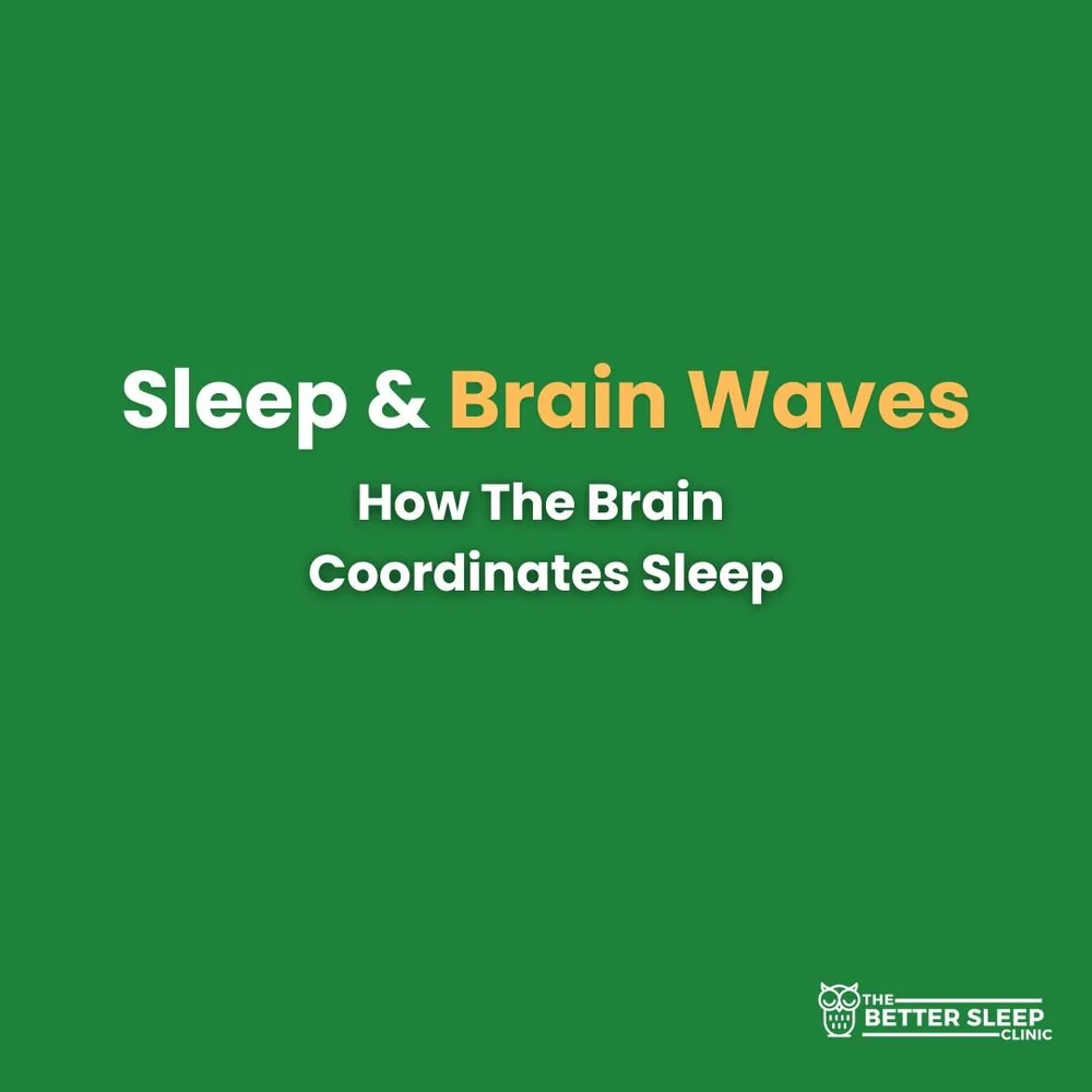 Sleep & Brain Waves: How The Brain Coordinates Sleep