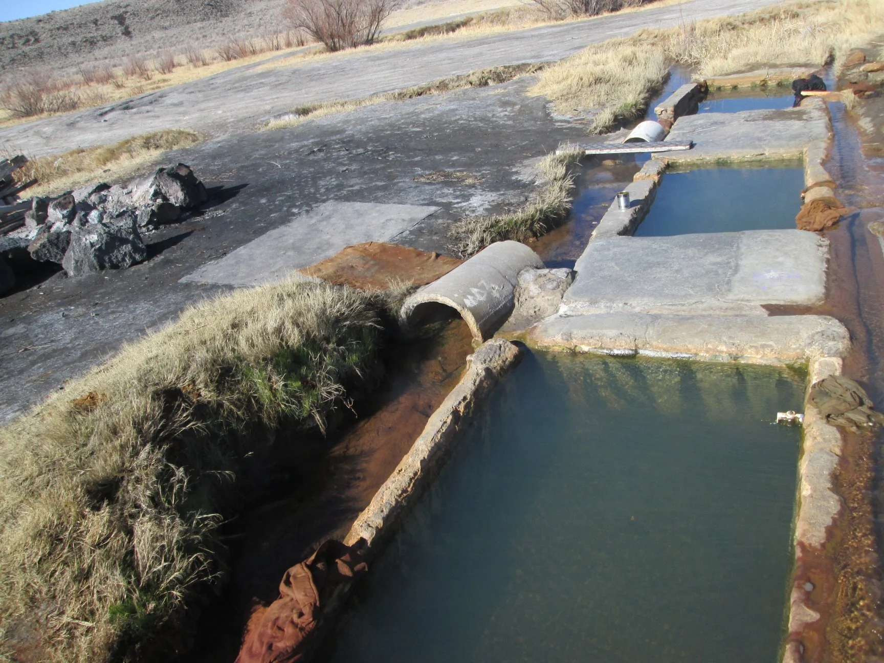 Are Hot Springs Safe For Dogs