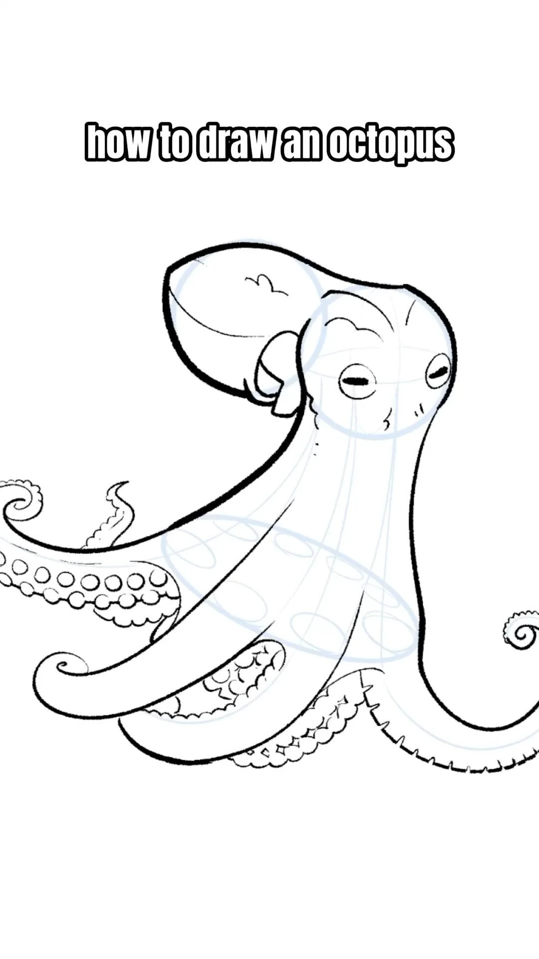 Gallery 2 — Octopolis