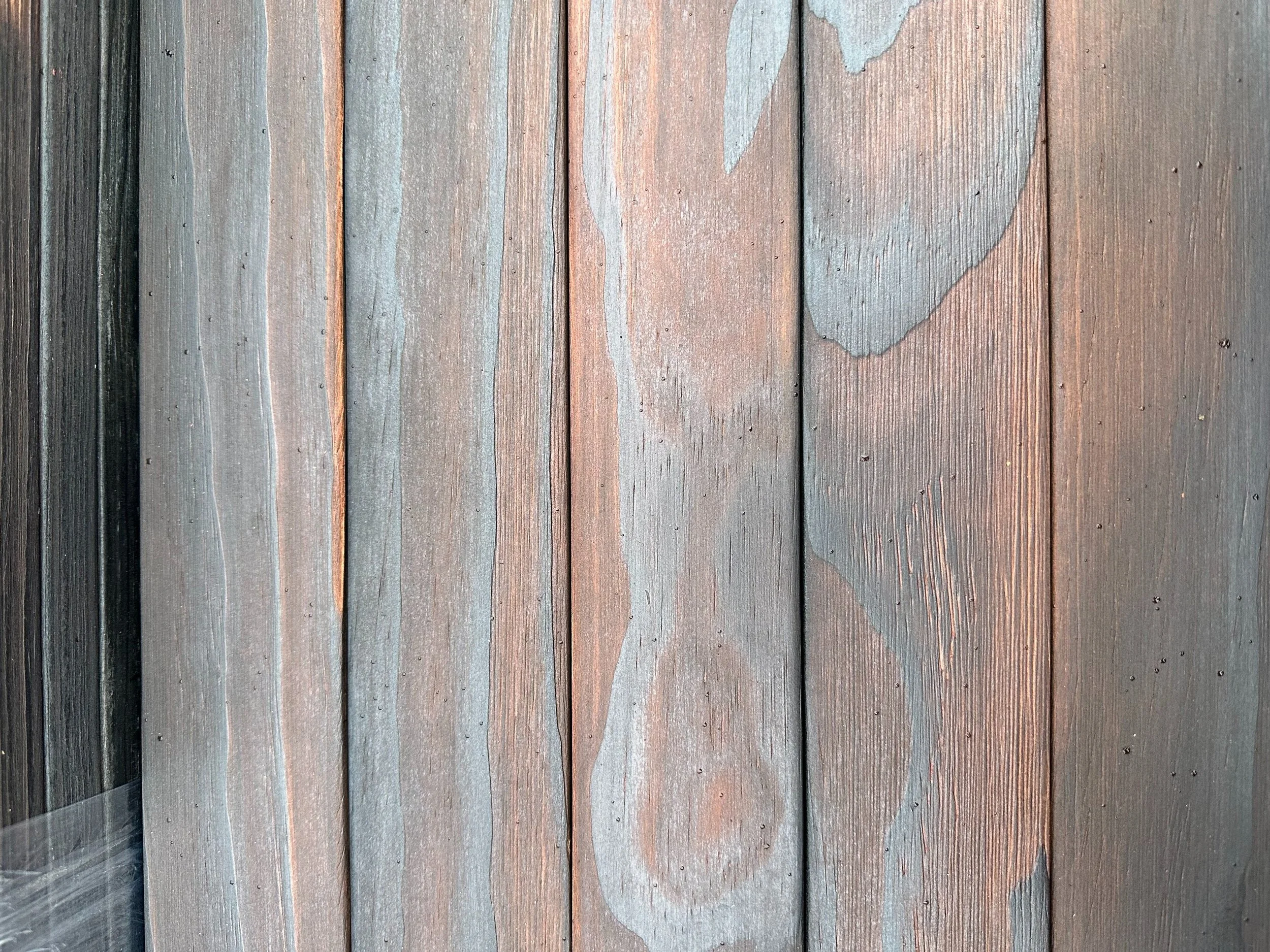 Scottish Larch — Tiny Temple