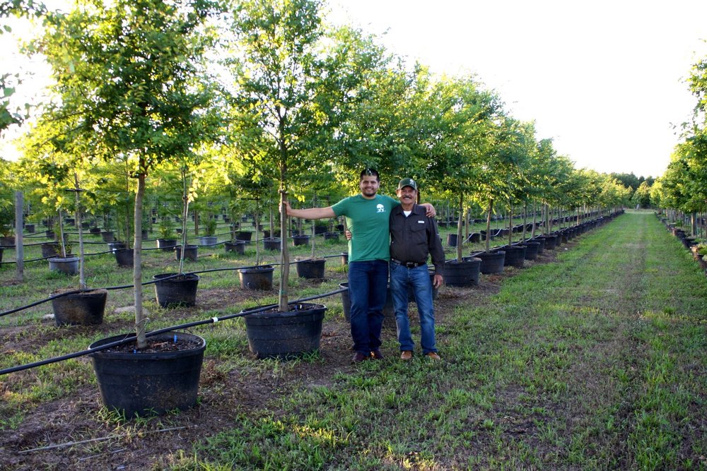 J.T. Tree Farm, LLC. Wholesale and Retail