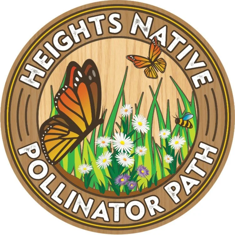 Heights Pollinator Pathway — Ecological Heights