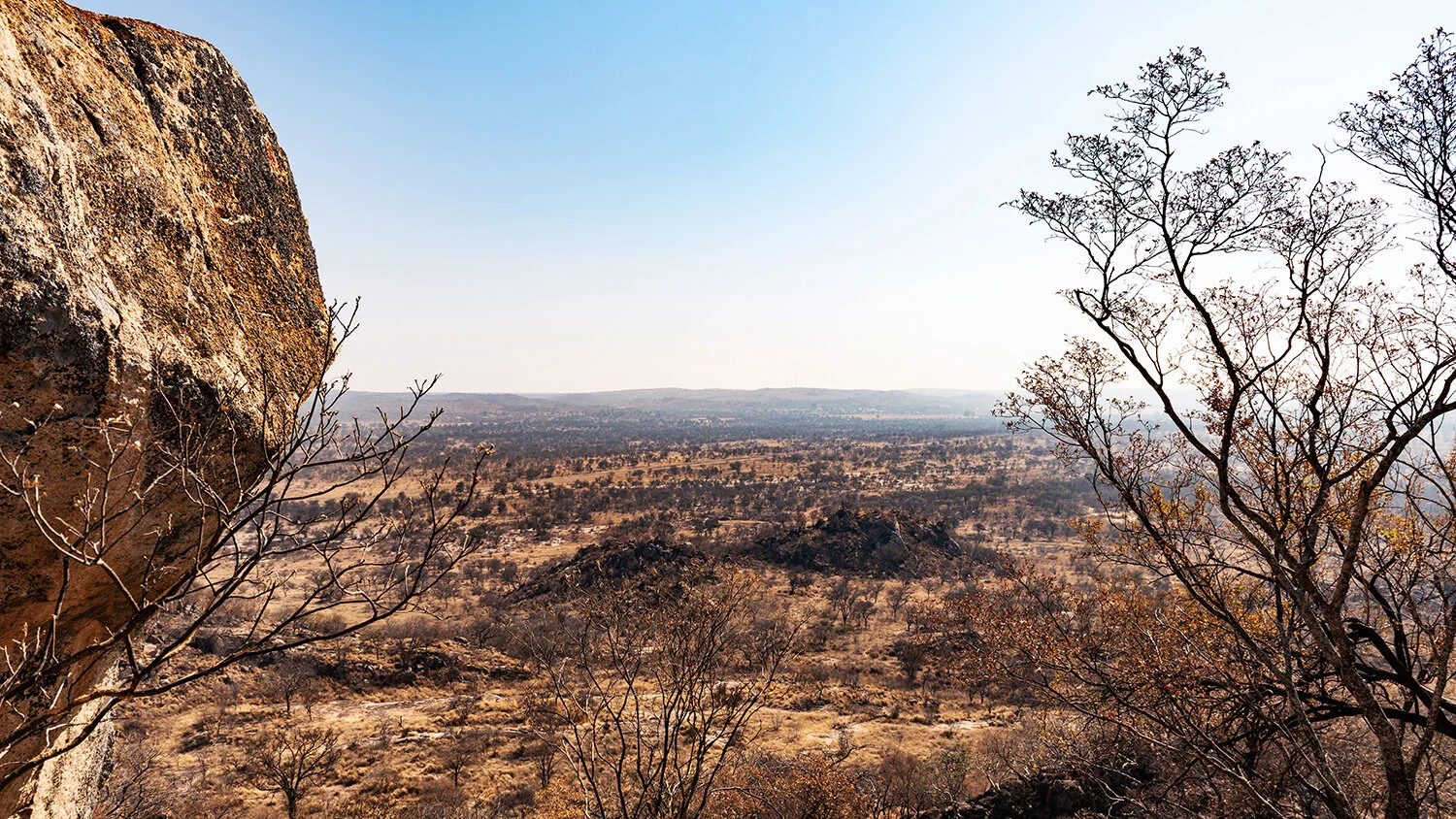 PATTERNS FROM ZIMBABWE | Discover & Inspire Today — Oryx and Fig
