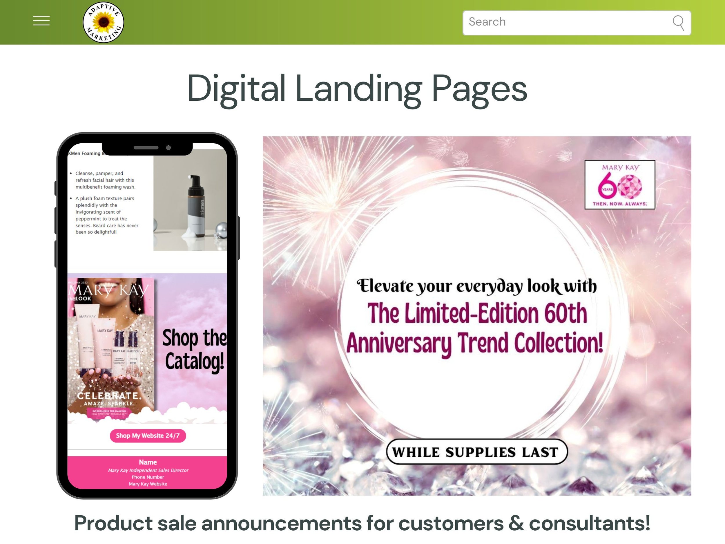 Digital E-Blast Landing Page | Adaptive Marketing Digital E-Blast Landing Page | Adaptive Marketing