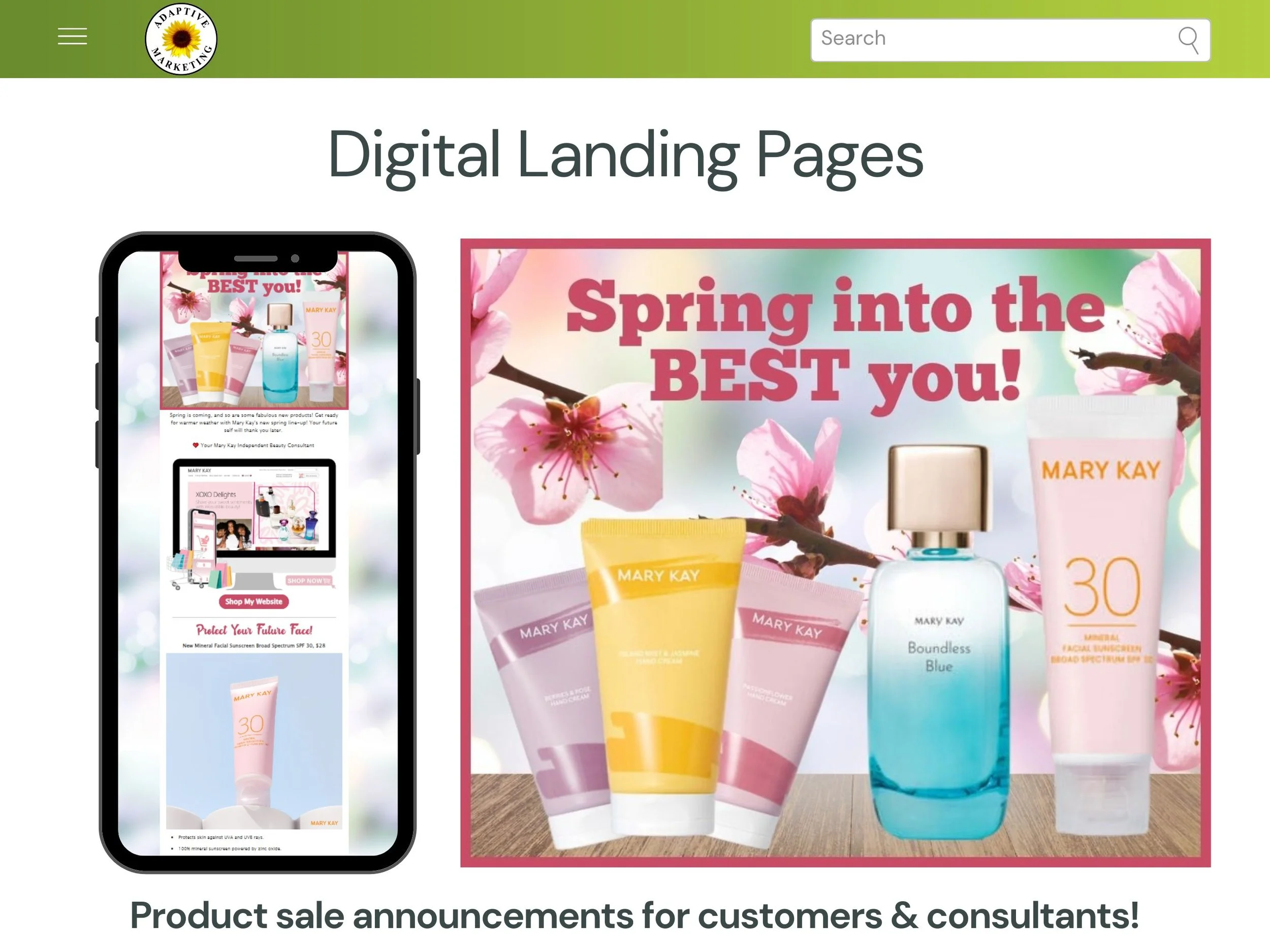 Mary Kay — Shop | Adaptive Marketing | Adaptive Marketing