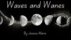 Waxes & Wanes | Adaptive Marketing