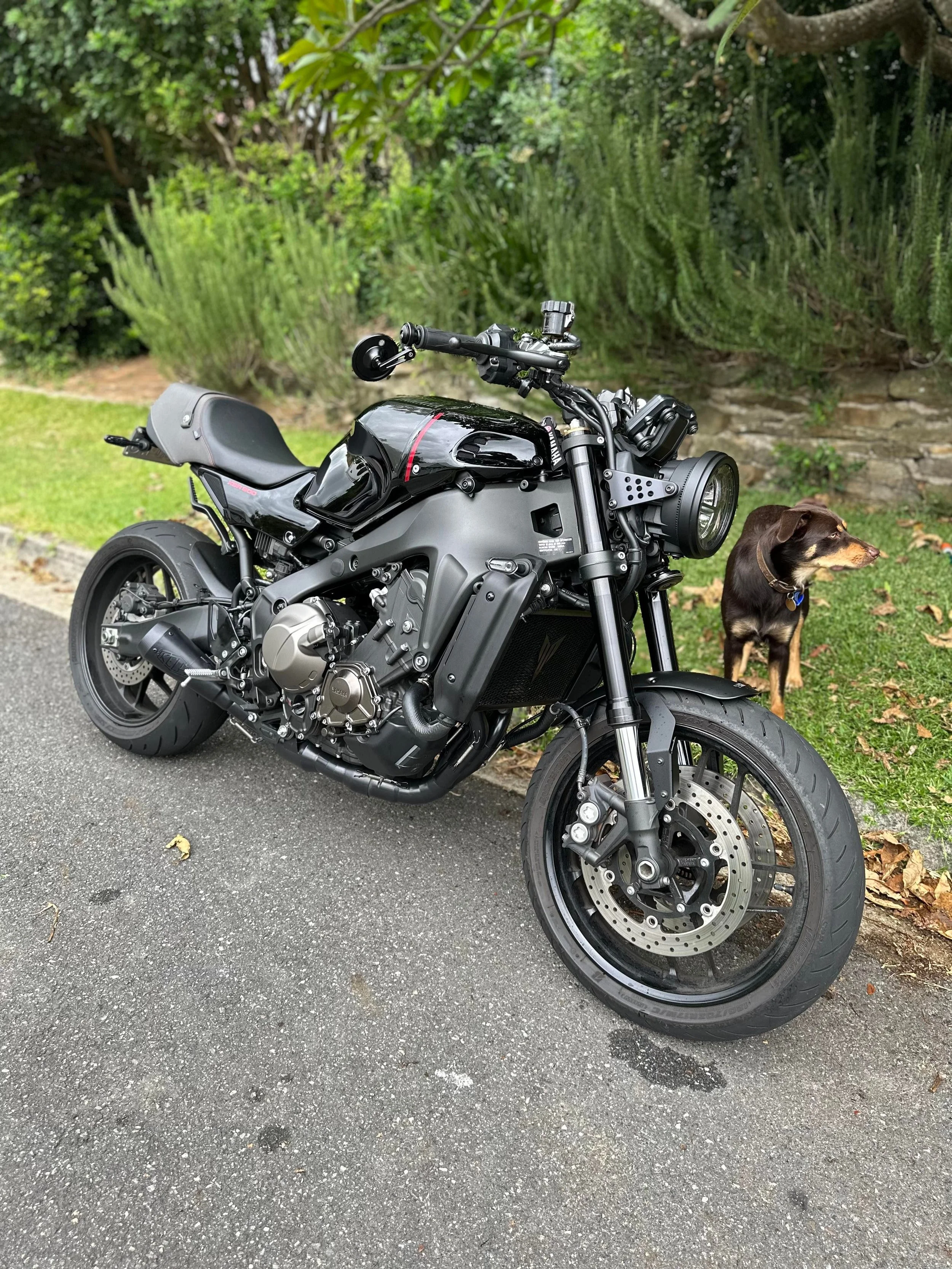 Yamaha XSR700 Custom Seat Trim | Comfort — KELPI CUSTOM MOTO