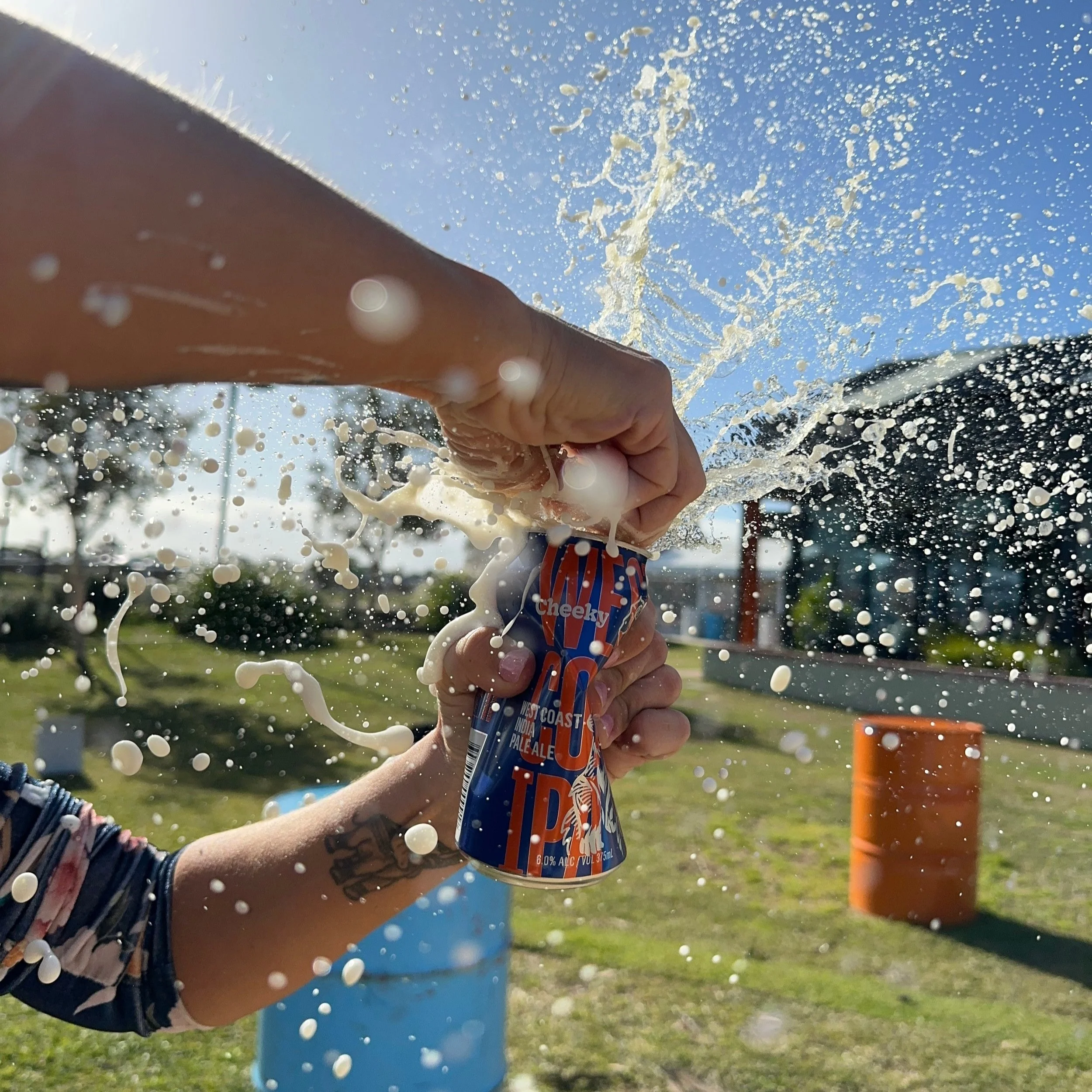 What's On — Treendale Farm Hotel