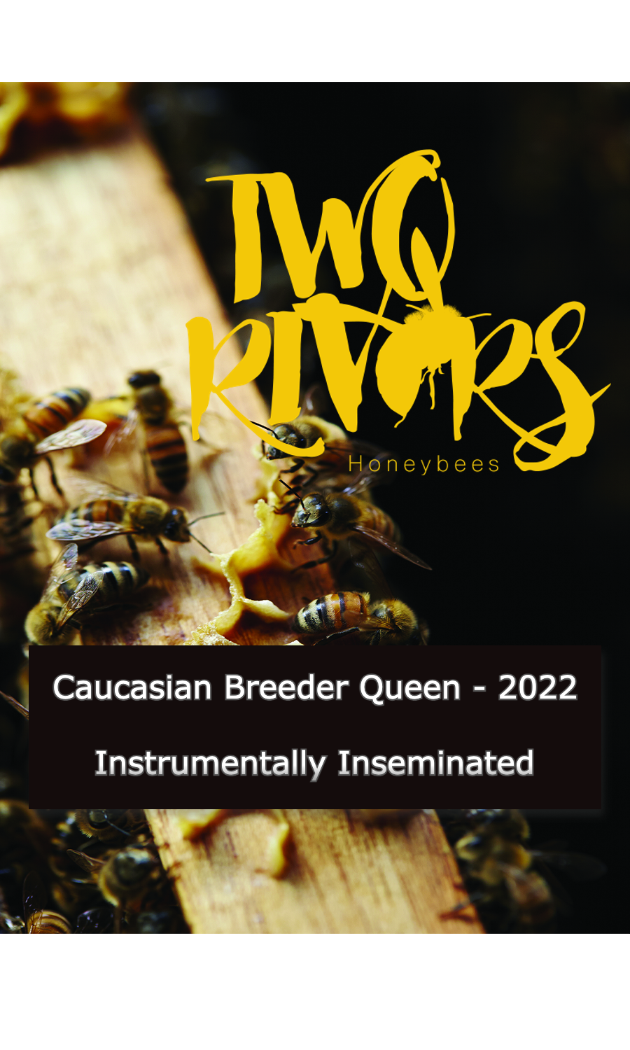 Store — Two Rivers Honey Bees