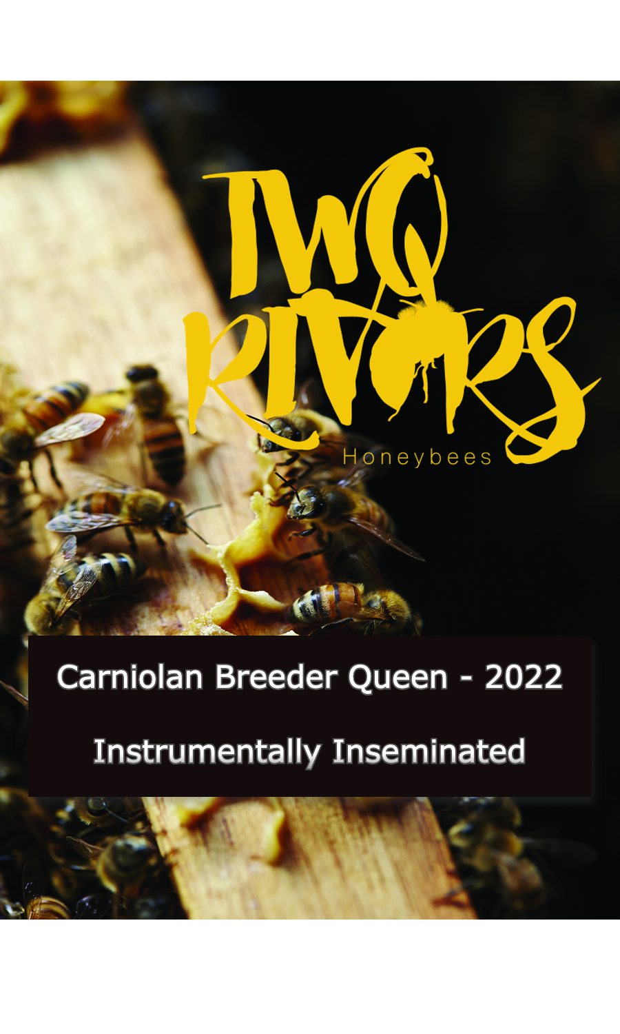 Store — Two Rivers Honey Bees