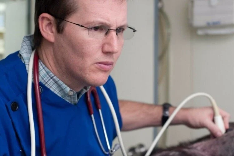 Staff — Victoria 24hr Veterinary Hospital