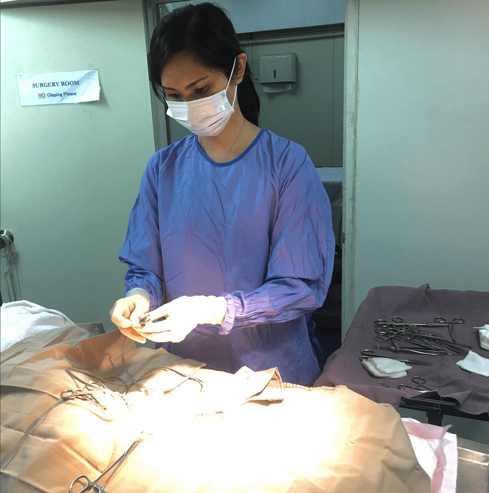 Staff — Victoria 24hr Veterinary Hospital