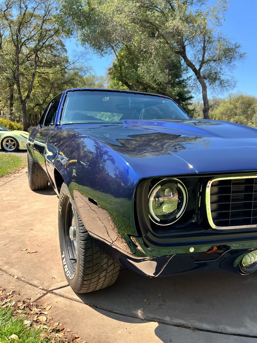 Color PPF Paint Protection Film — Paradox Styling