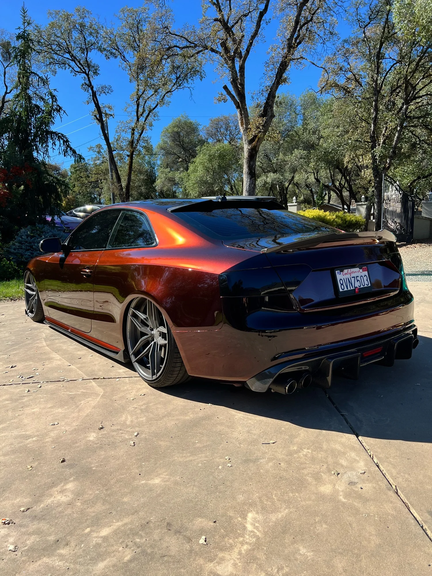 Color PPF Paint Protection Film — Paradox Styling