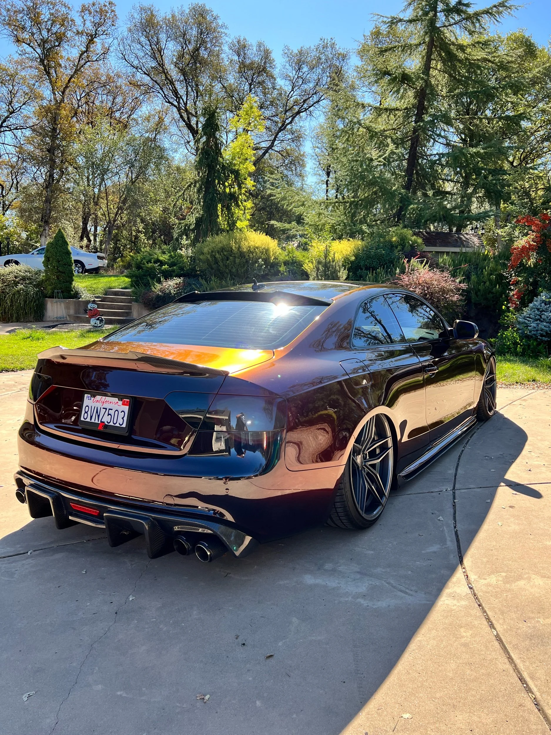Color PPF Paint Protection Film — Paradox Styling
