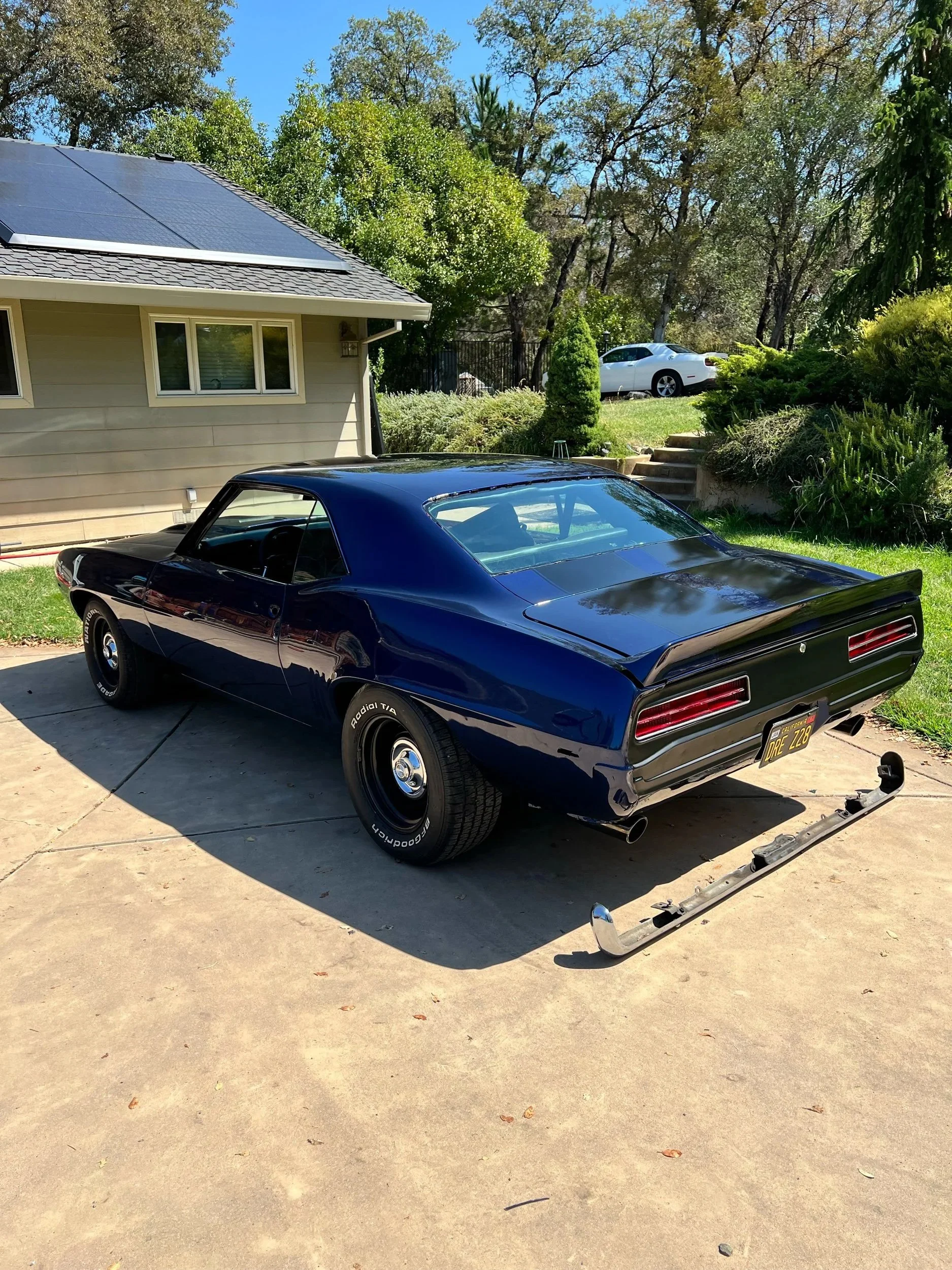 Color PPF Paint Protection Film — Paradox Styling