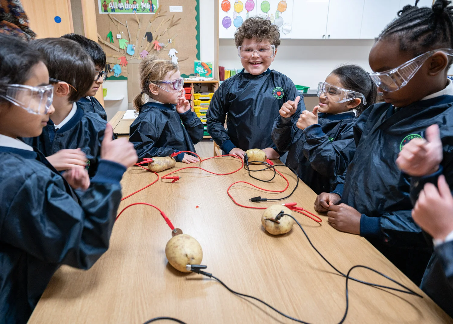 Curriculum — Orchard School & Nursery