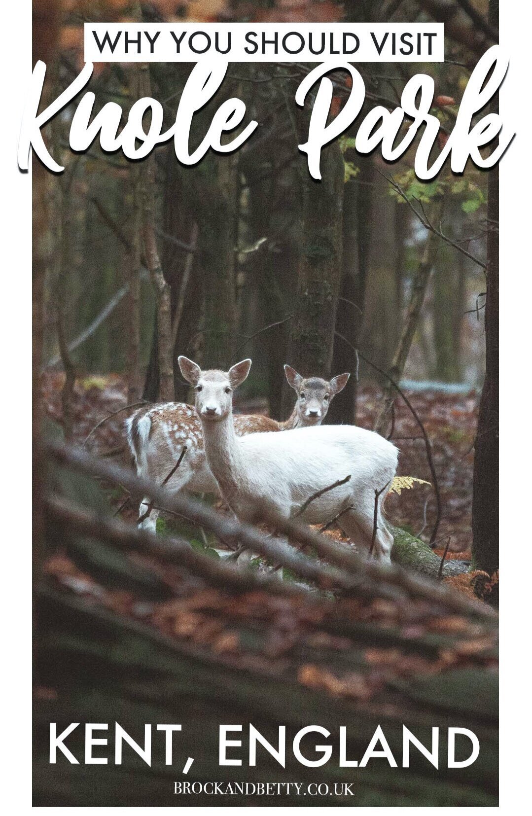 How to Visit Knole Park, Kent | FROM A LOCAL — Brock & Betty