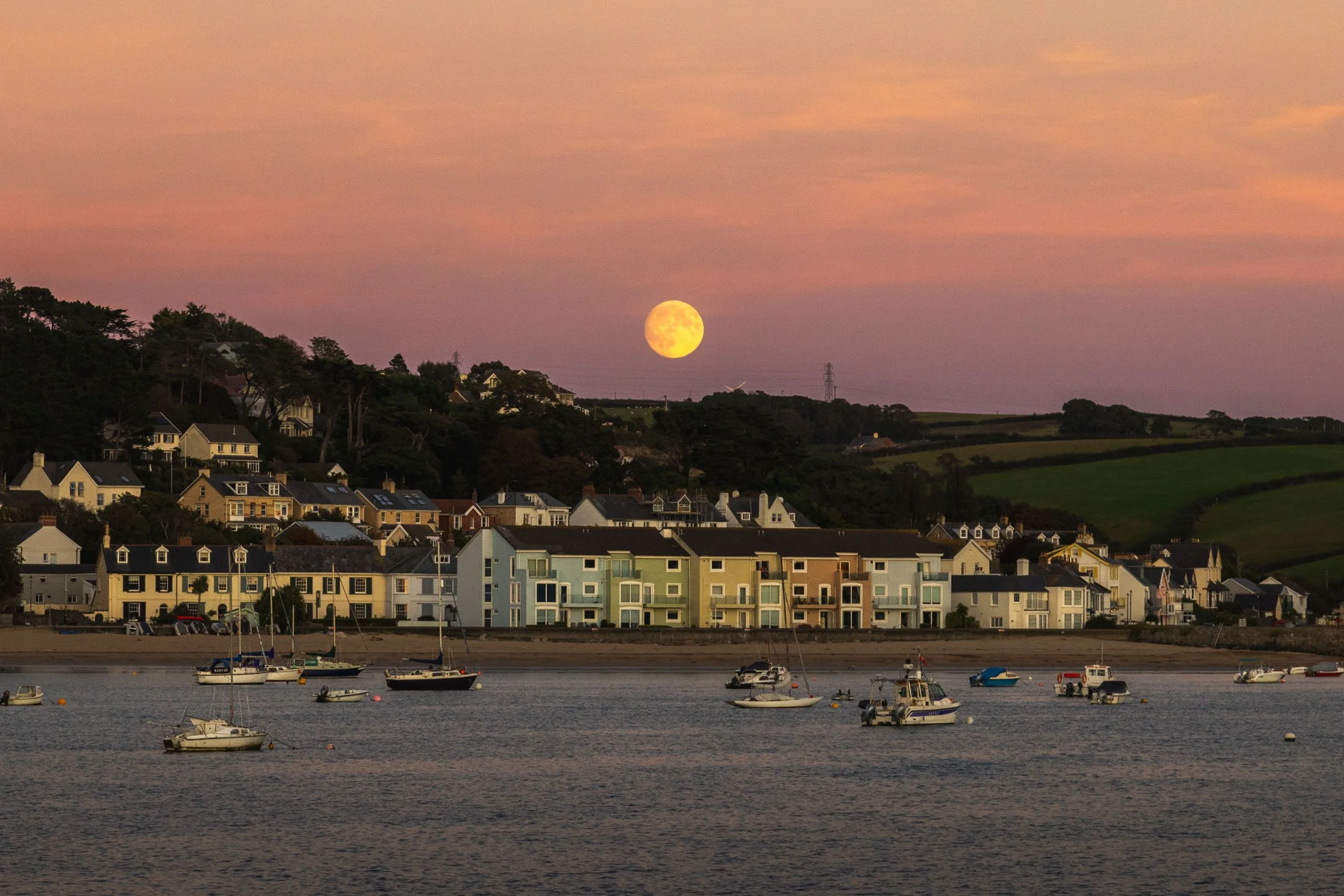 Things to do in Appledore, Devon | England — Brock & Betty