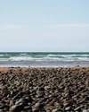 Things to do in Appledore, Devon | England — Brock & Betty