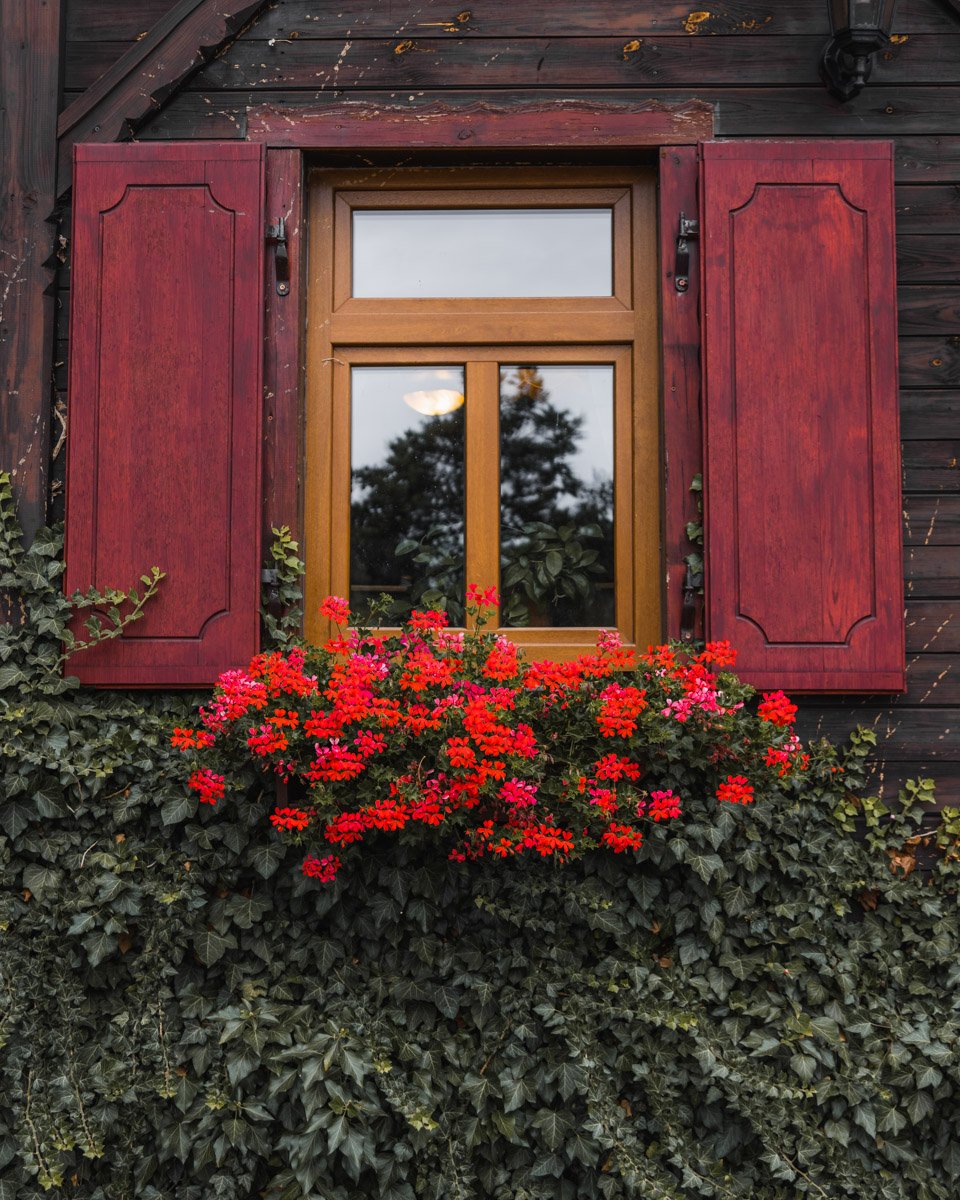 The Tisa Rocks "Tiske Skaly" Bohemian Switzerland (complete guide ...