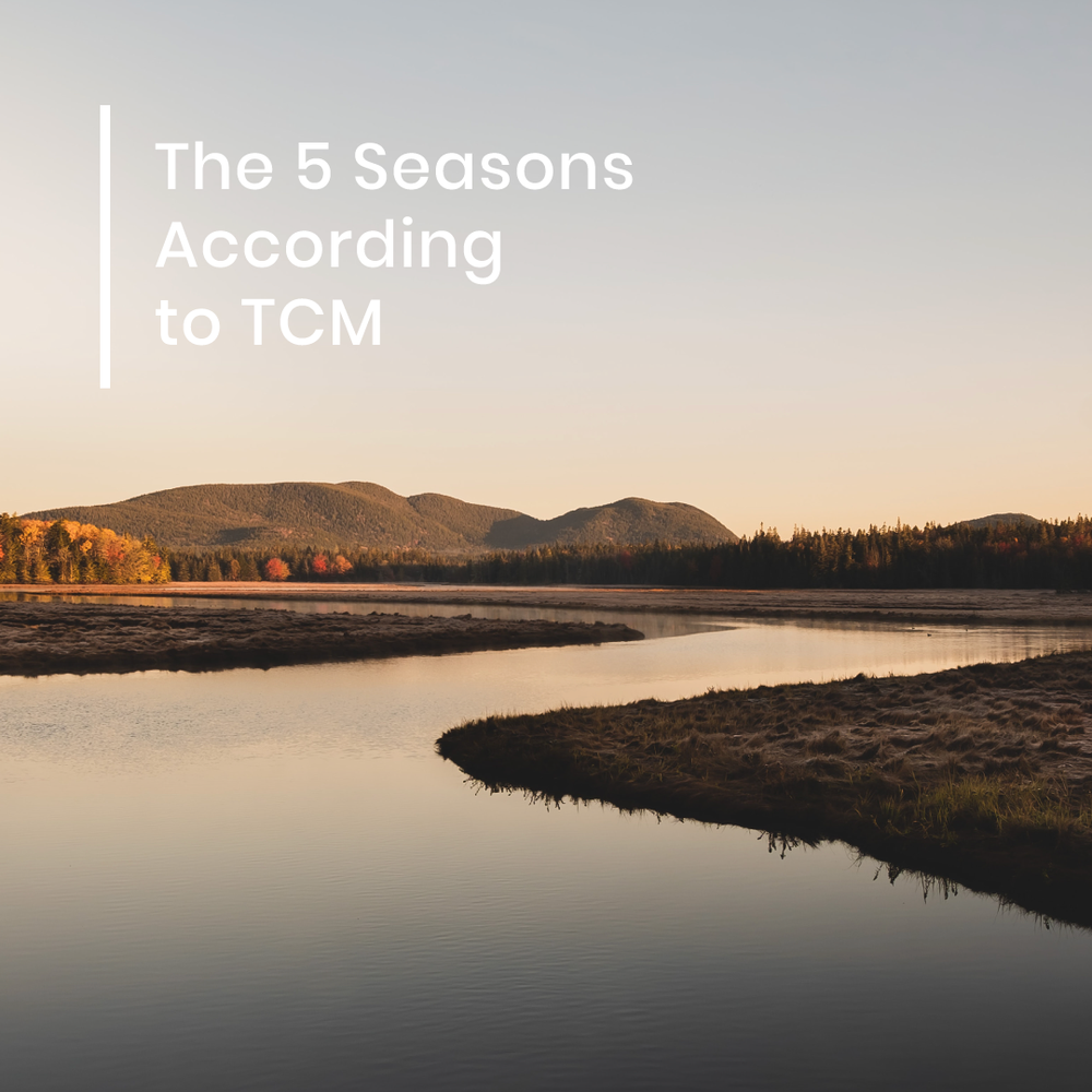 TCM's Five Seasons of Healing | Rocky Coast Integrated Medicine ...