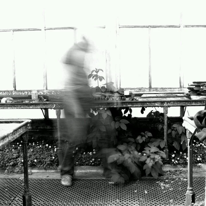 About — Andrea Allan