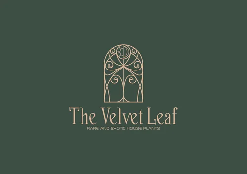 Ireland's #1 Logo Design Agency - Professional and Affordable Logo ...