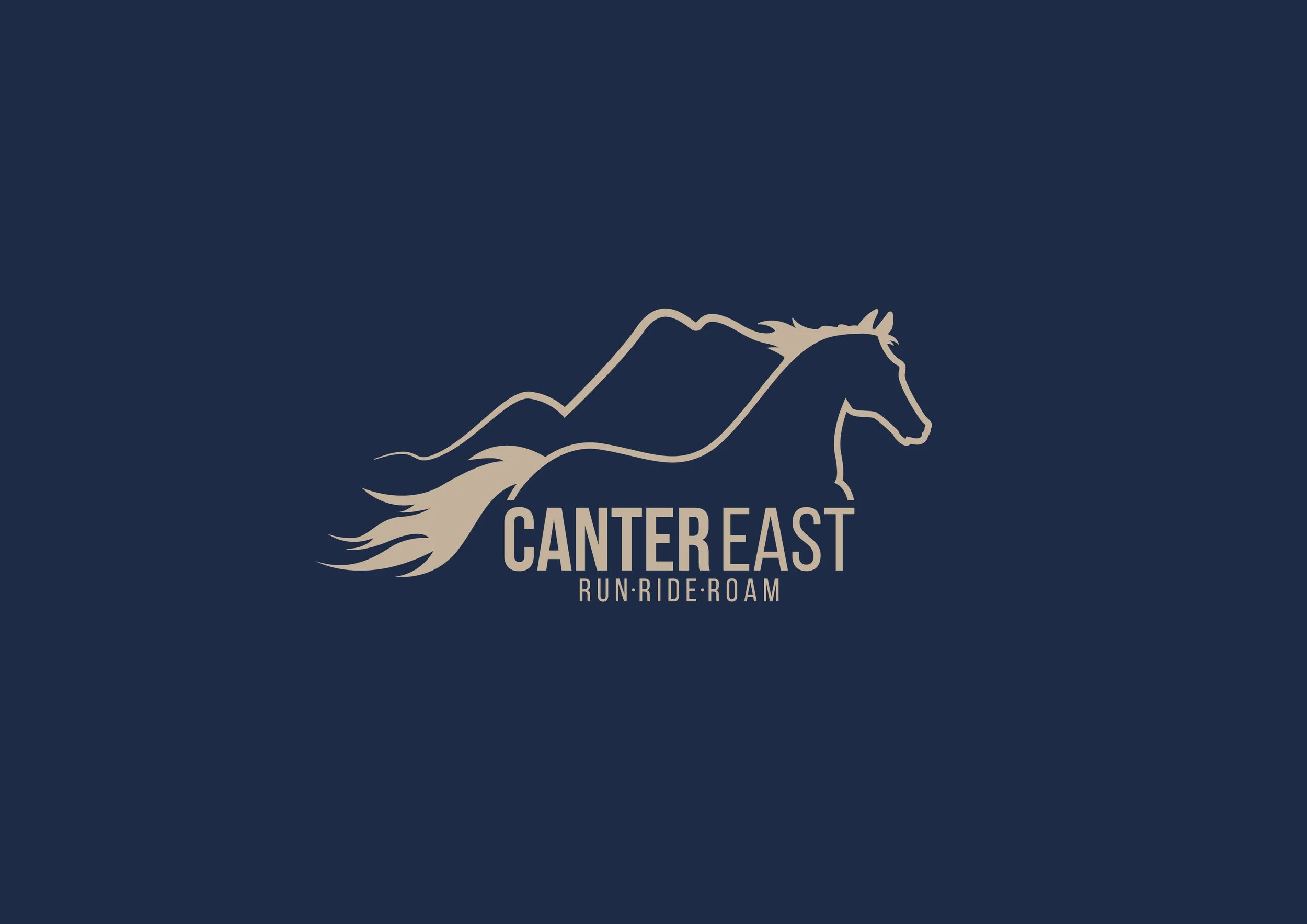Logo Design Samples — Graphic and Logo Designer - Éire Graphic Design