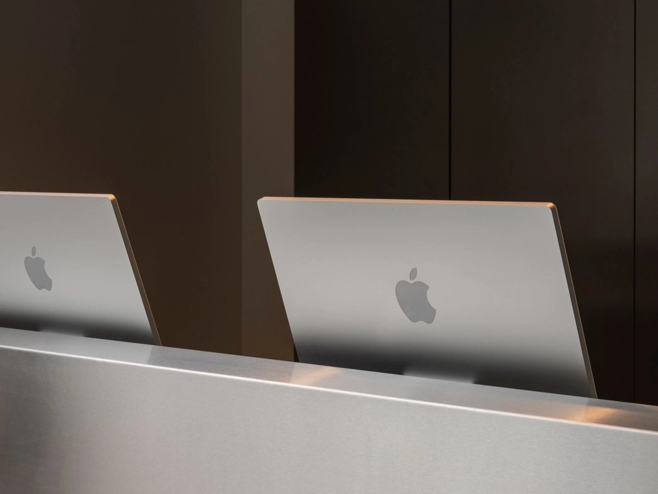 First timer — ANIMO Studios