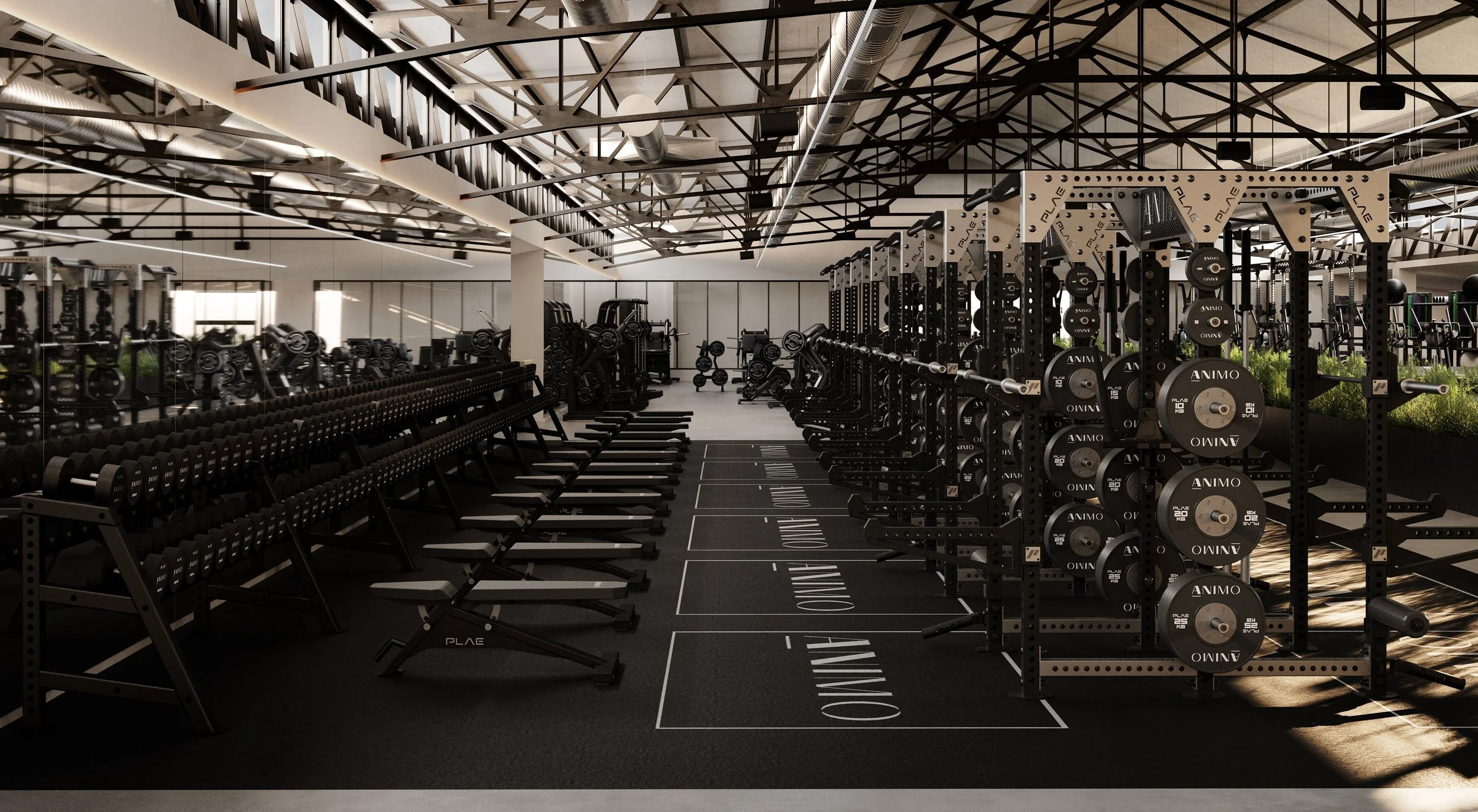 Social Wellness & Performance Clubᴺᴱᵂ — ANIMO Studios