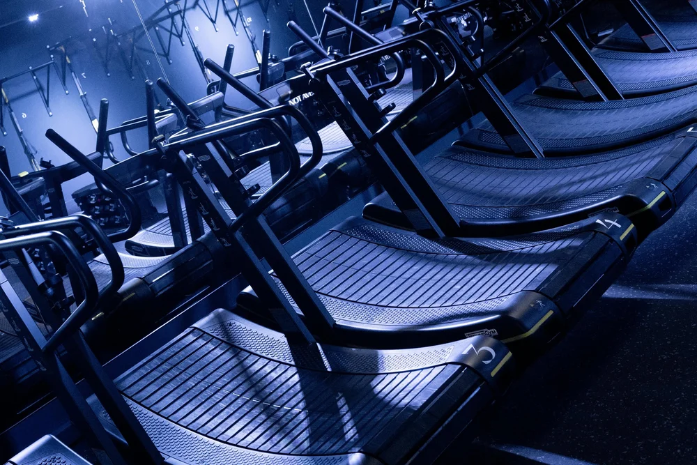 The Studio — ANIMO Studios