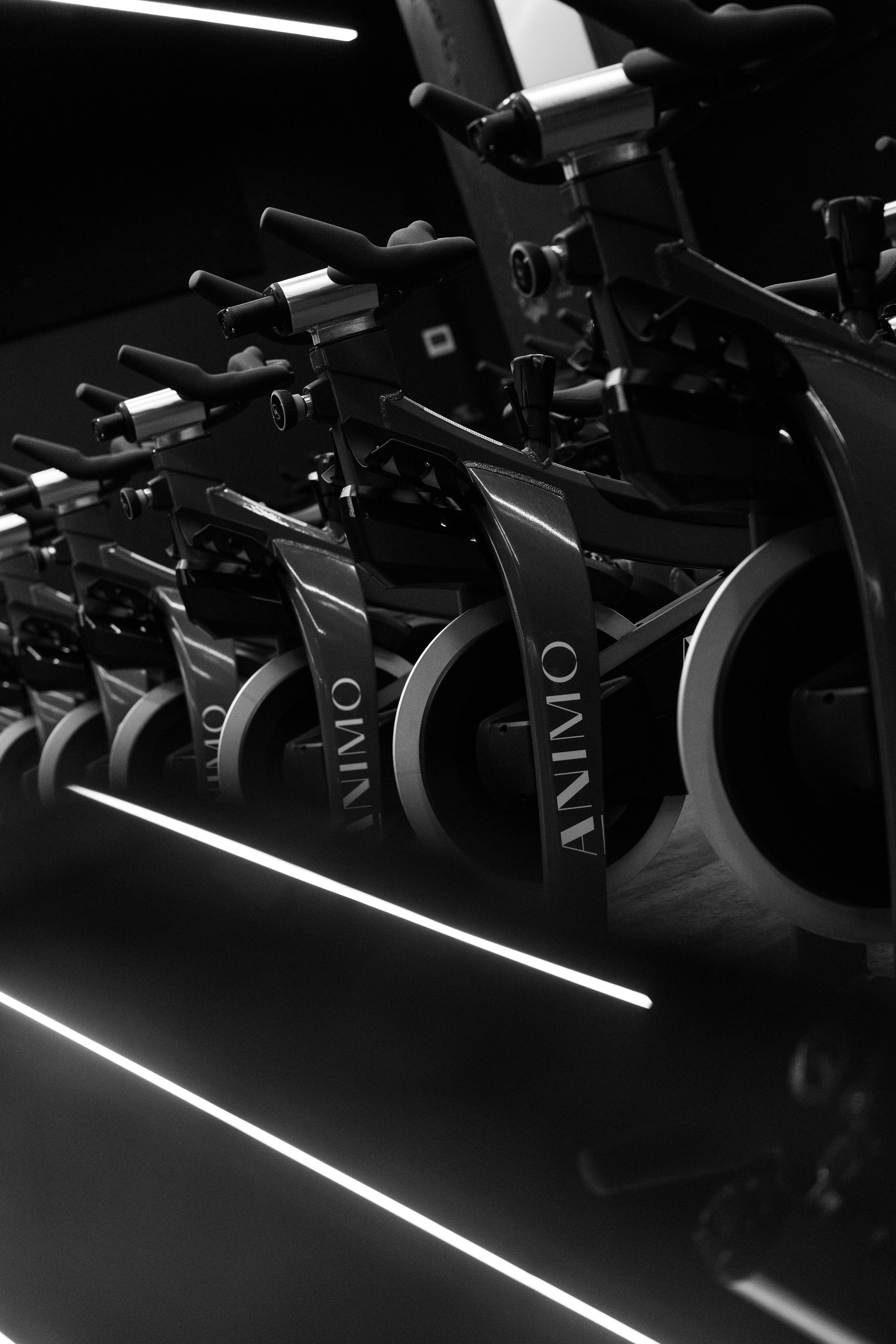 Ride — ANIMO Studios