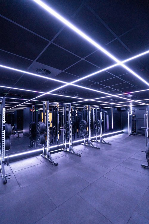 The Studio — ANIMO Studios