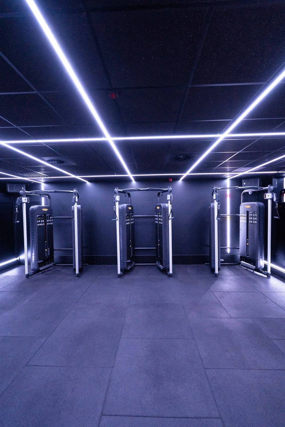 The Studio — ANIMO Studios