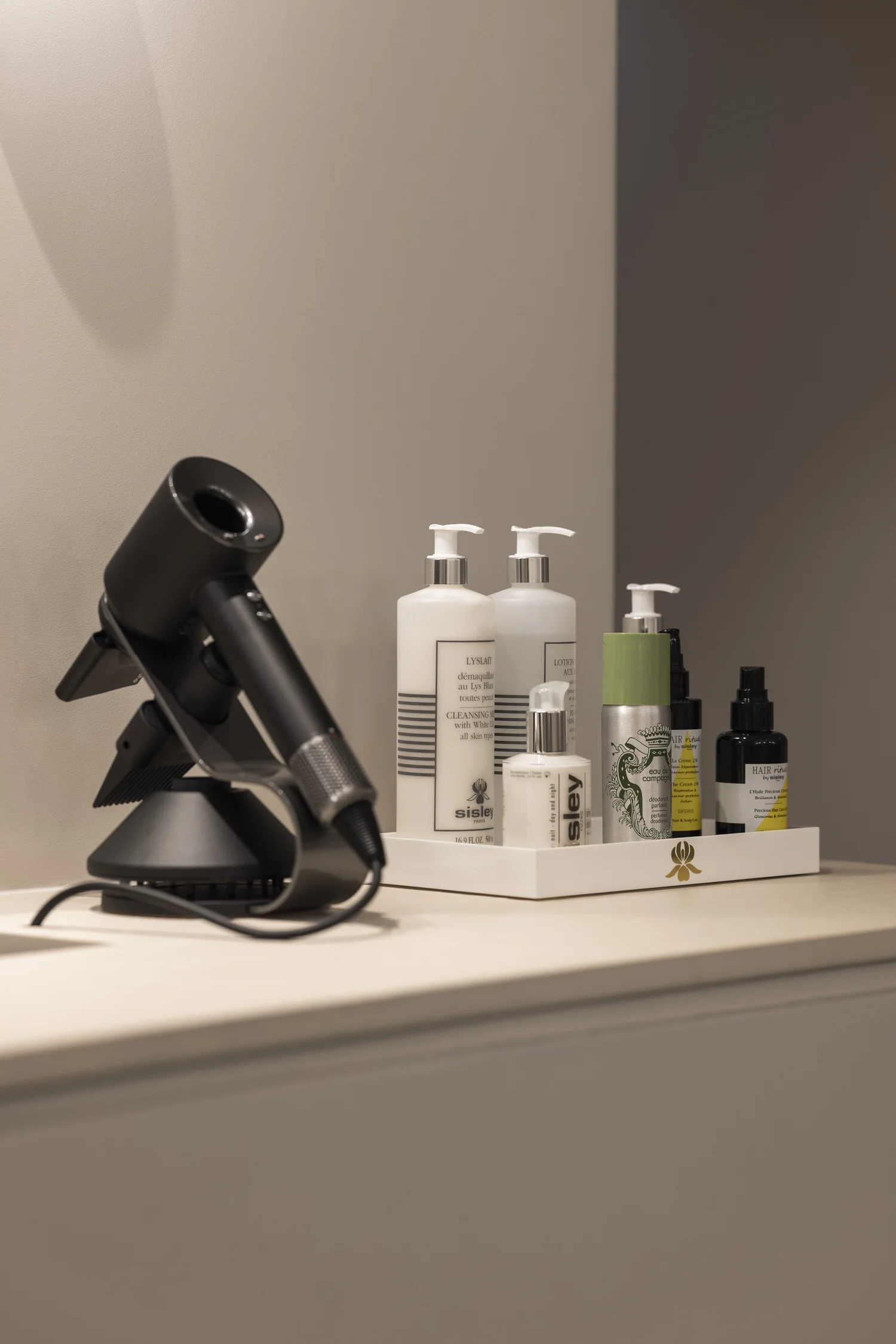 The Studio — ANIMO Studios