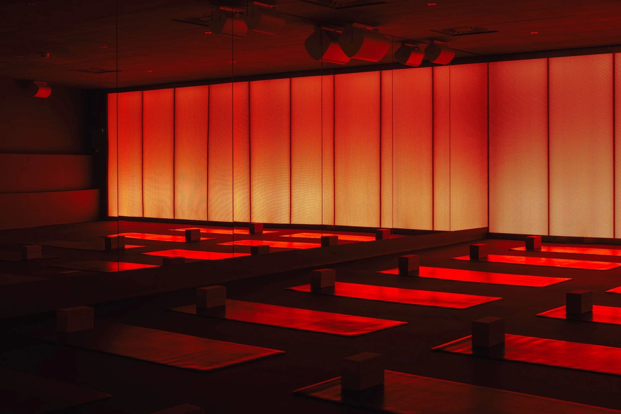 Looking for instructors — ANIMO Studios