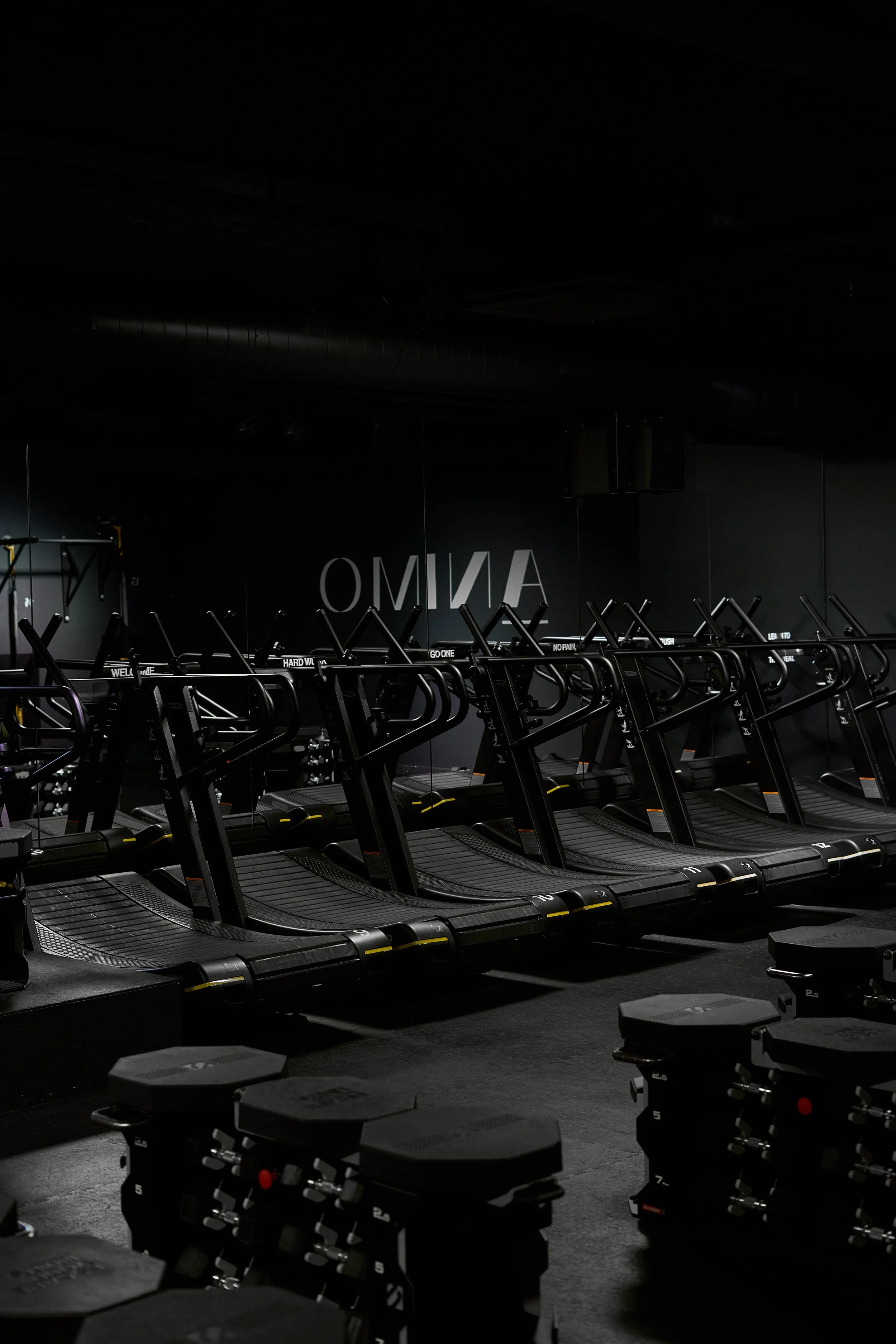 Train — ANIMO Studios