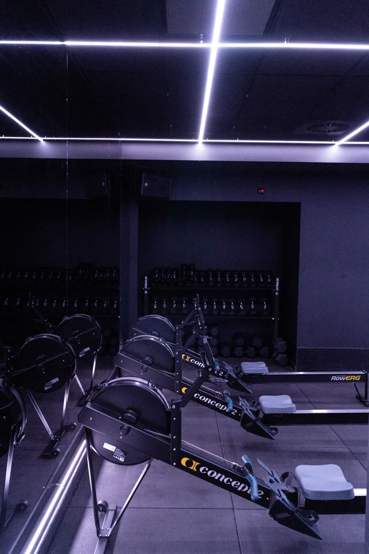 The Studio — ANIMO Studios