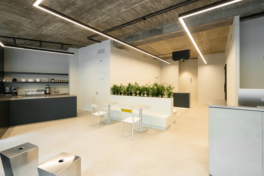 The Studio — ANIMO Studios