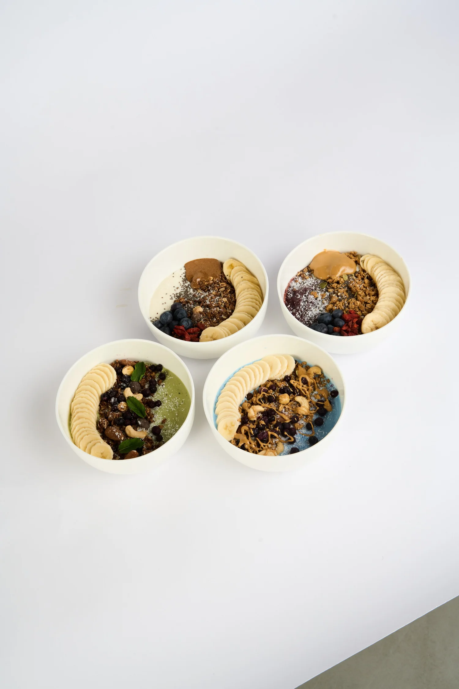 First timer — ANIMO Studios