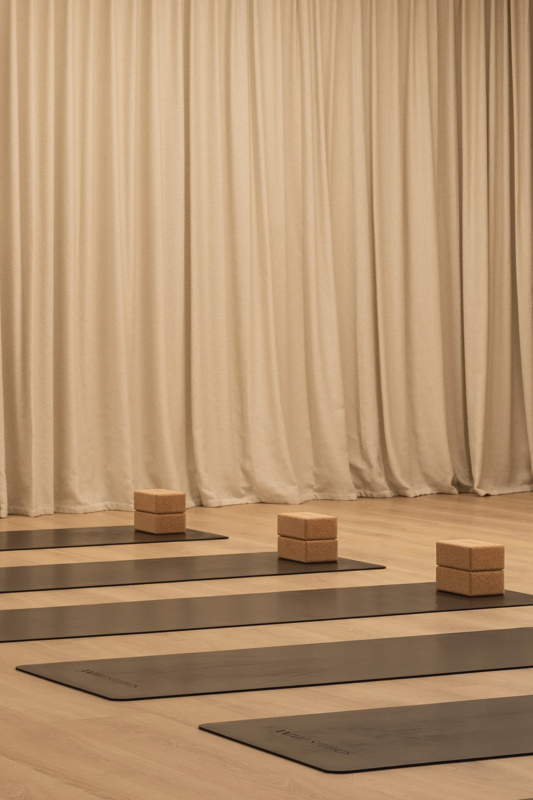 The Studio — ANIMO Studios