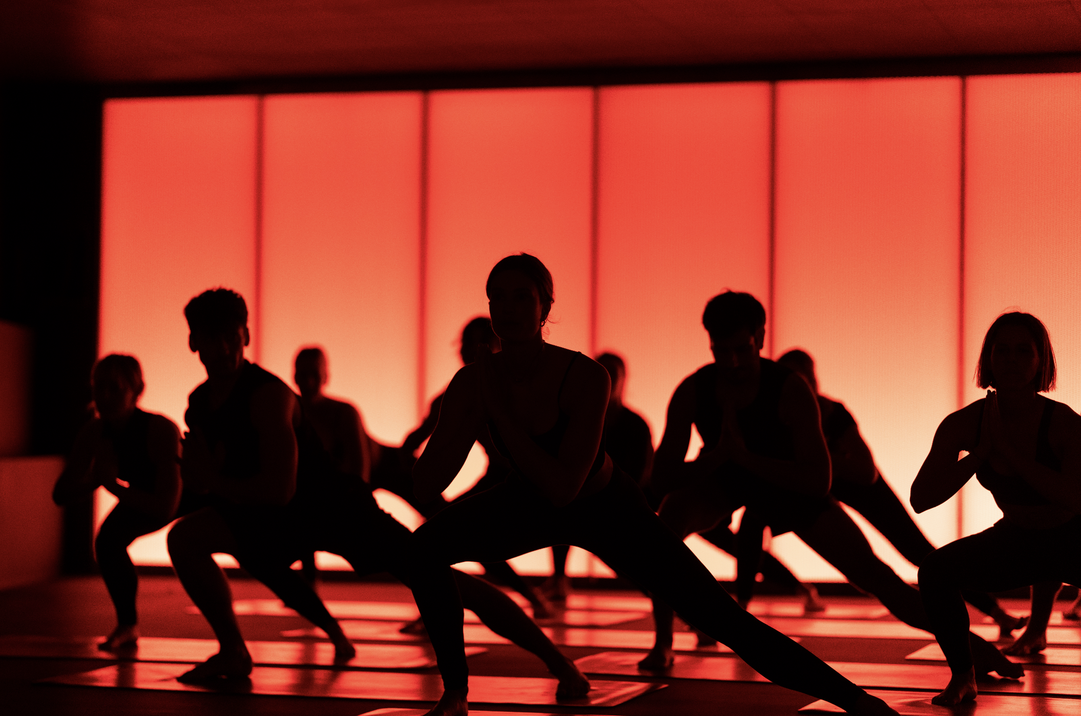 Move — ANIMO Studios