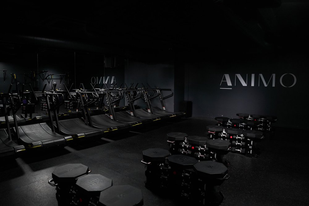 The Studio — ANIMO Studios